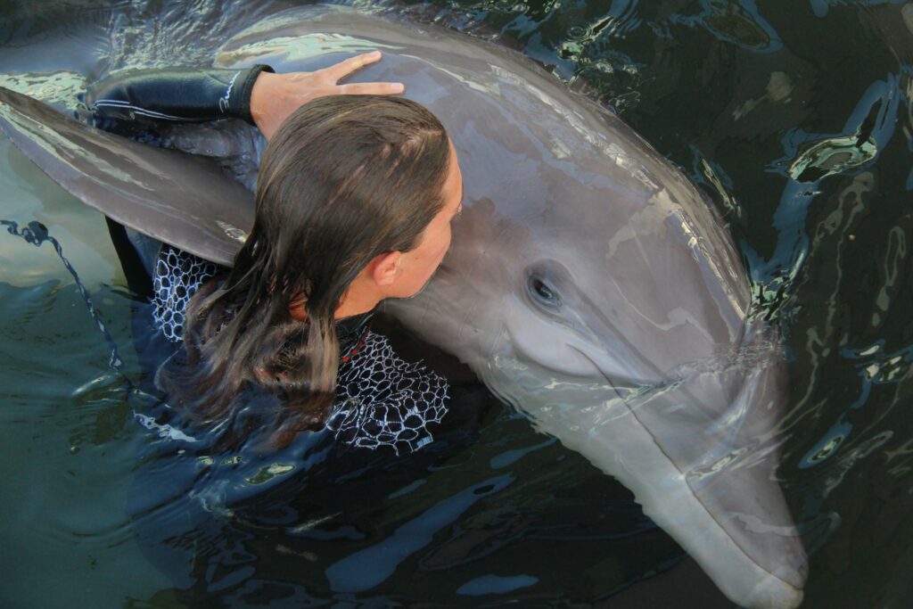 Dolphins Plus Marine Mammal Responder - Keys Caribbean